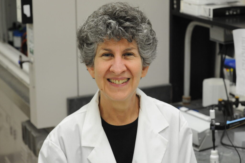 Ruth E. Stark, Ph.D. - FCNY